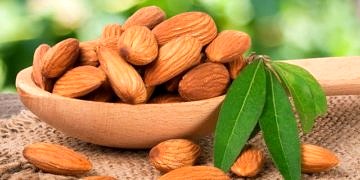 Badem nedir? Faydaları nelerdir? Yağı ve sütü neye iyi gelir?