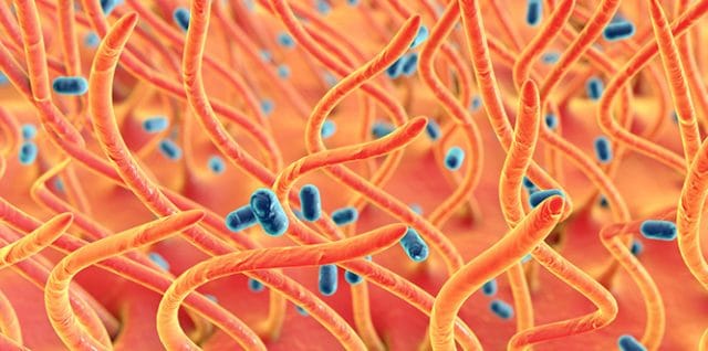 Boğmaca nedir, neden olur? Belirtileri, aşısı ve tedavisi