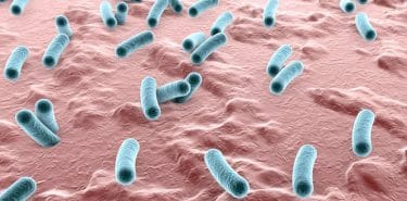 Dizanteri nedir? Amipli ve Basilli dizanterinin belirtileri ve tedavisi