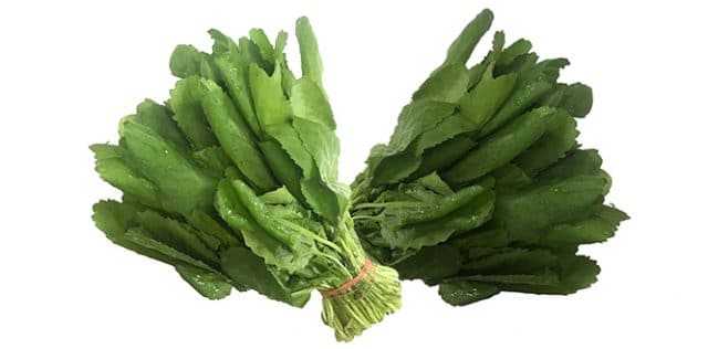 Tere otu nedir, neye iyi gelir? Tere tohumunun faydaları nelerdir?