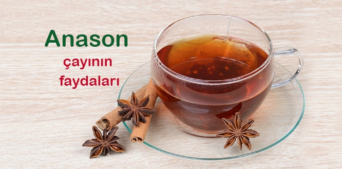 Anason nedir, nasıl kullanılır? Anasonun faydaları ve zararları