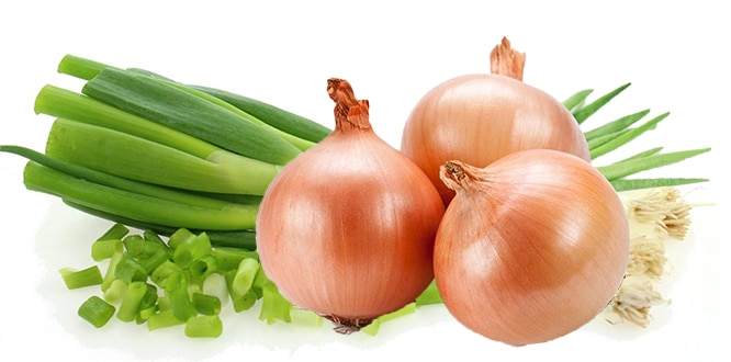 Soğanın faydaları nelerdir? Soğan hangi hastalıklara iyi gelir?