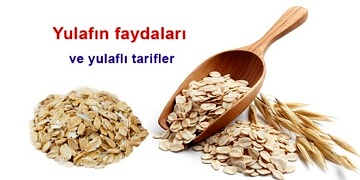 Yulaf nedir, nasıl tüketilmelidir? Yulafın faydaları nelerdir?