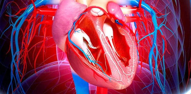 İnfektif endokardit tanı ve tedavisi