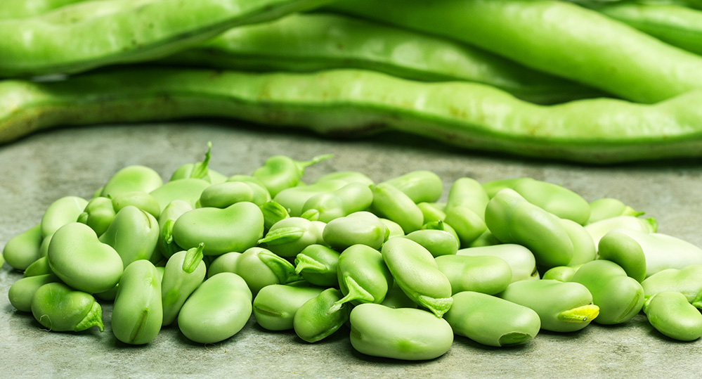 Bakla neye iyi gelir? Nasıl yenmeli? Faydaları ve zararları