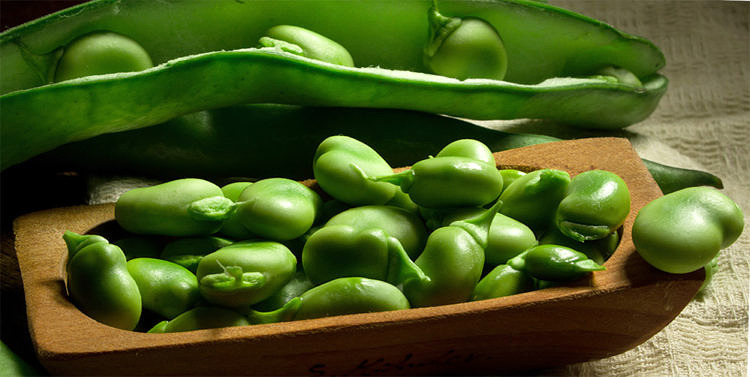 Bakla neye iyi gelir? Nasıl yenmeli? Faydaları ve zararları