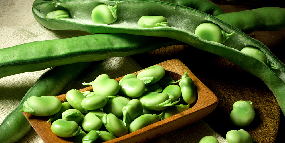 Bakla neye iyi gelir? Nasıl yenmeli? Faydaları ve zararları