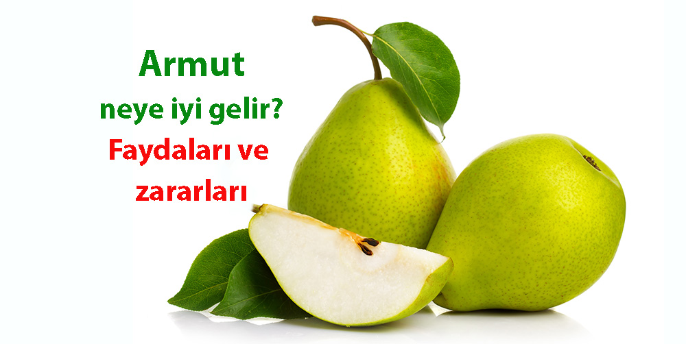 Armut, neye iyi gelir? Armudun faydaları ve zararları
