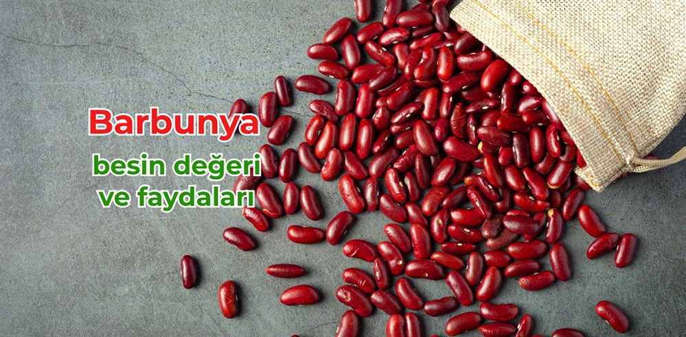 Barbunya kaç kalori? Besin değeri ve faydaları nelerdir?