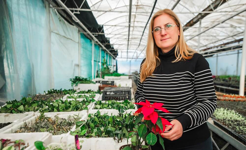 Kendi işletmesini kuran kadın girişimci, tıbbi ve aromatik bitkiler ...
