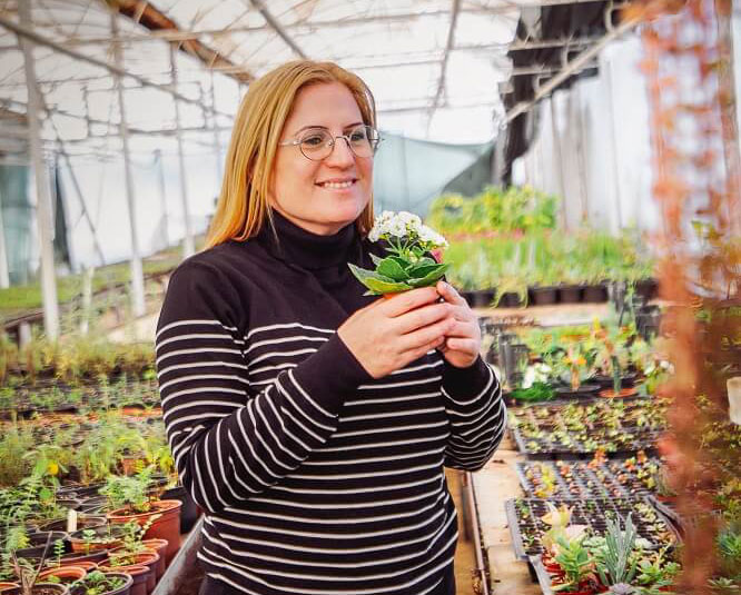 Kendi işletmesini kuran kadın girişimci, tıbbi ve aromatik bitkiler ...
